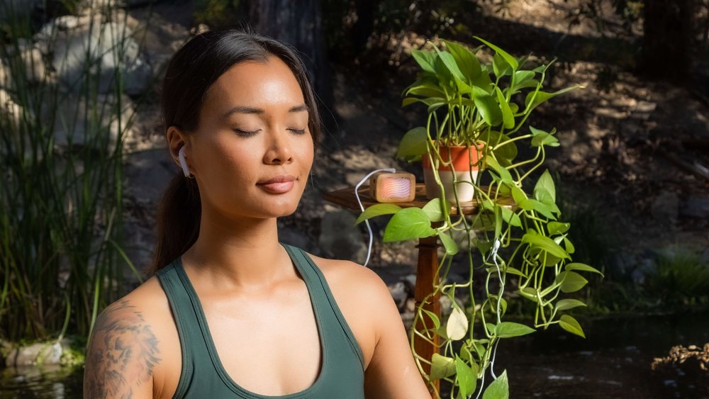 How Plant Music Can Help Deepen Your Meditation Practice – PlantWave