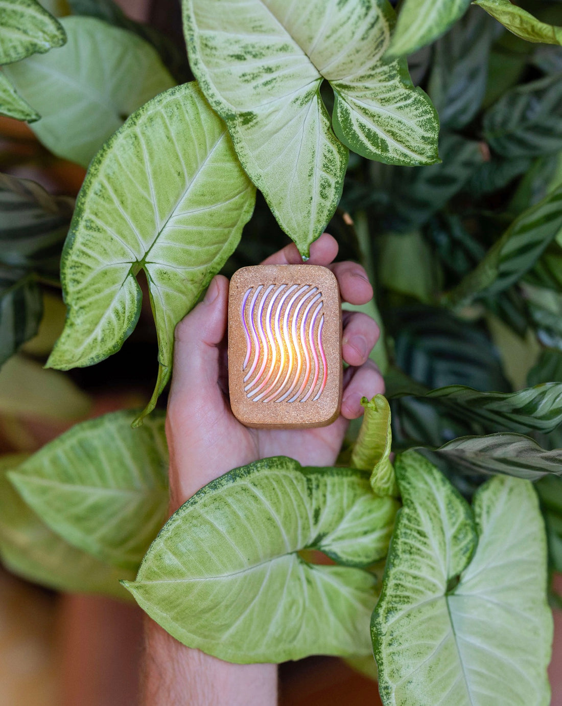 Listen – PlantWave