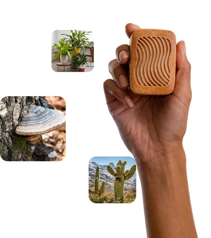 How It Works – PlantWave