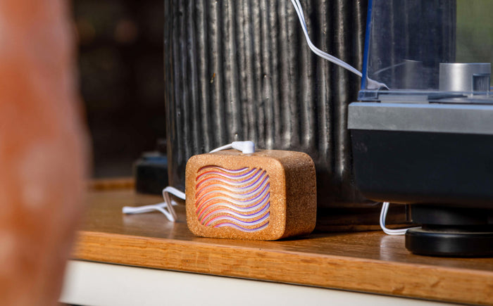 Use Cases – PlantWave